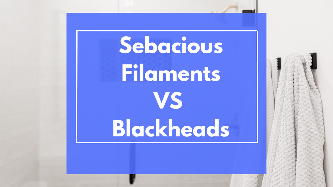 Unmasking the Difference Between Sebaceous Filaments and Blackheads – Be Blessed Skincare